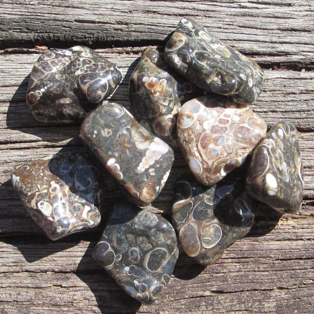 Agate - Red Banded Agate - Buy Crystals Online - My CrystalAura