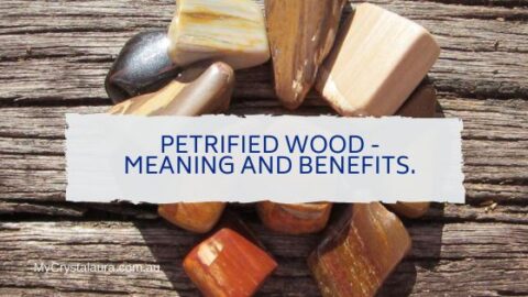 Petrified Wood Meaning and Benefits | Properties - My CrystalAura